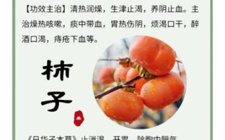 吃柿子的好处和功效_吃柿子能减肥吗