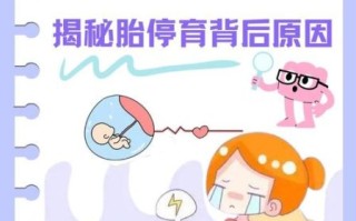孕妈哪些行为会导致胎停_胎停育的真正原因