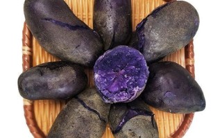 黑美人土豆种子多少钱一斤_黑美人土豆种子怎么种