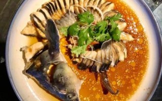 中华鲟怎么做好吃_中华鲟清蒸还是红烧