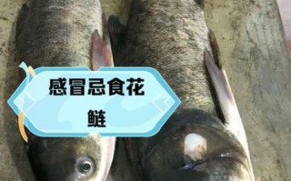 花鲢鱼什么人不能吃_花鲢鱼禁忌人群