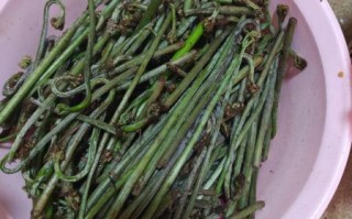野生干蕨菜怎么做好吃_蕨菜泡发技巧