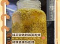 桂花果泡酒步骤_桂花果泡酒需要多久