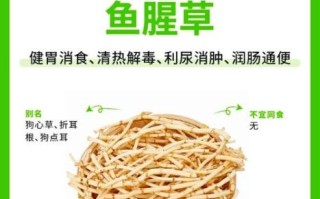 鱼腥草治痔疮怎么用_鱼腥草治痔疮有效吗
