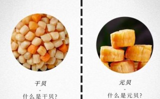 干贝是什么东西_干贝和瑶柱的区别