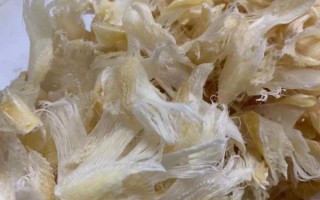 普通鱼翅图片_真假如何辨别