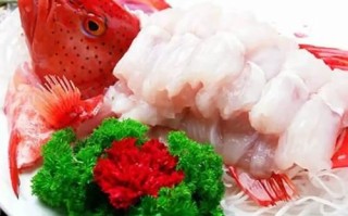 东星斑多少钱一斤_东星斑价格走势