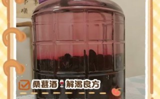 桑葚泡酒用什么酒好_桑葚泡酒的功效与作用