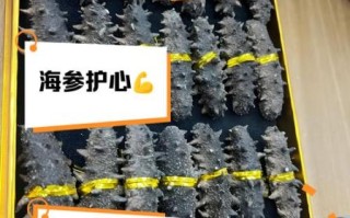 女人吃海参好吗_女人吃海参有哪些好处