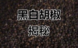 黑胡椒面和白胡椒面区别_哪个更辣