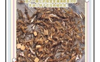 虾笼里放什么诱饵最好河虾_河虾诱饵配方大全