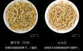 金银花图片大全大图_如何辨别真假金银花