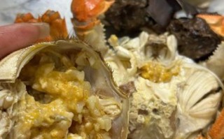 毛蟹是淡水还是海水_毛蟹生活在什么水域