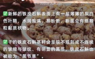 石斛图片大全高清图片_如何辨别真假石斛