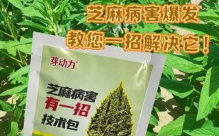 黑芝麻能治什么病_真实案例