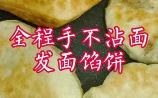 烙馅饼的面怎么和皮软_烙馅饼皮软和面的秘诀
