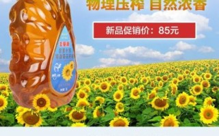 葵花油的功效与作用_葵花油适合什么人吃
