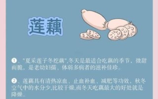 冬季养生必吃十种食物_哪些食物最暖身