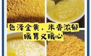 黄小米怎么煮粥最好_黄小米煮粥的正确方法