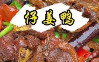鸭肉片怎么炒好吃_家常鸭肉片做法大全
