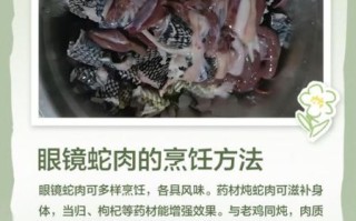 蛇肉怎么做好吃_蛇肉做法视频教程