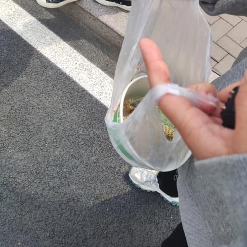 绿茶佛饼怎么做_绿茶佛饼做法视频教程-第3张图片-山城妙识