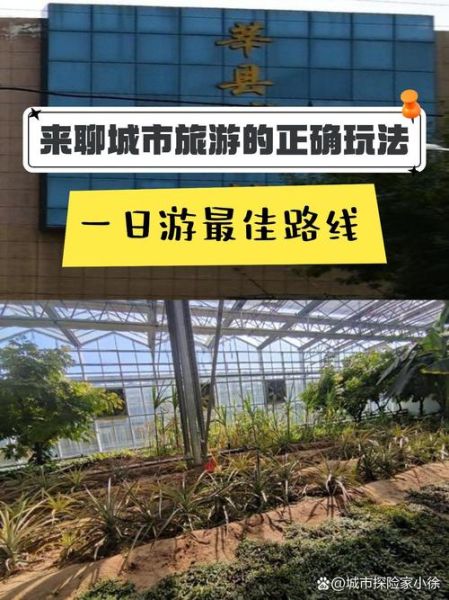 莘县有什么好玩的_莘县一日游最佳路线-第1张图片-山城妙识 莘县有什么好玩的_莘县一日游最佳路线-第1张图片-山城妙识