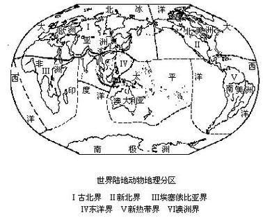 动物地理区划有哪些_全球六大界如何划分-第1张图片-山城妙识 动物地理区划有哪些_全球六大界如何划分-第1张图片-山城妙识
