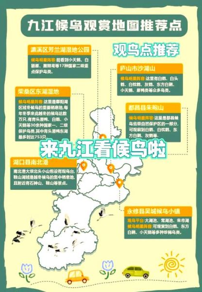 鄱阳湖一日游路线_鄱阳湖观鸟最佳时间-第1张图片-山城妙识 鄱阳湖一日游路线_鄱阳湖观鸟最佳时间-第1张图片-山城妙识