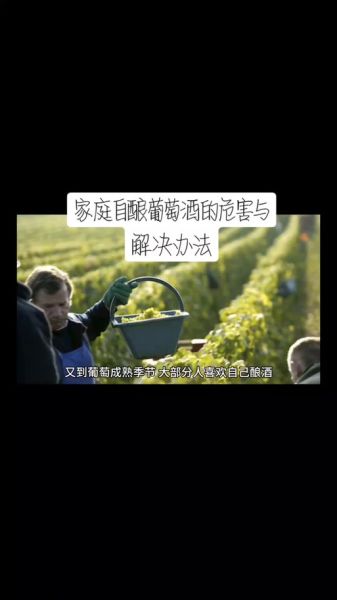 葡萄酒怎么做_家庭自酿葡萄酒步骤-第3张图片-山城妙识 葡萄酒怎么做_家庭自酿葡萄酒步骤-第3张图片-山城妙识