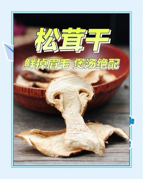 干松茸怎么泡发_干松茸的家常做法-第1张图片-山城妙识 干松茸怎么泡发_干松茸的家常做法-第1张图片-山城妙识