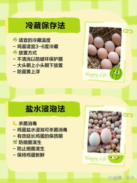 冷冻鸡蛋怎么做_冷冻鸡蛋能保存多久-第1张图片-山城妙识 冷冻鸡蛋怎么做_冷冻鸡蛋能保存多久-第1张图片-山城妙识