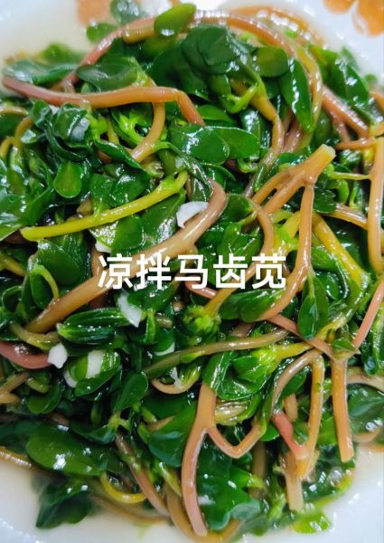 马齿苋凉拌怎么做_马齿苋凉拌需要焯水吗-第1张图片-山城妙识 马齿苋凉拌怎么做_马齿苋凉拌需要焯水吗-第1张图片-山城妙识