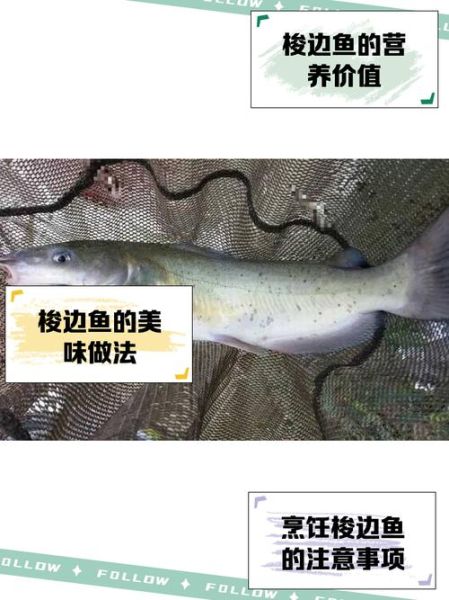 梭边鱼怎么做好吃_梭边鱼的家常做法-第2张图片-山城妙识 梭边鱼怎么做好吃_梭边鱼的家常做法-第2张图片-山城妙识
