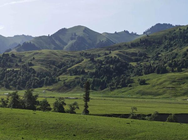 尼勒克有哪些值得去的景点_尼勒克旅游最佳时间-第3张图片-山城妙识 尼勒克有哪些值得去的景点_尼勒克旅游最佳时间-第3张图片-山城妙识