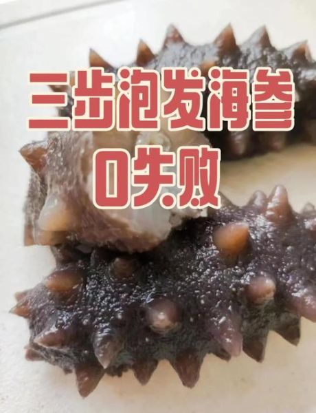 海参怎么泡发_海参的家常做法-第2张图片-山城妙识 海参怎么泡发_海参的家常做法-第2张图片-山城妙识