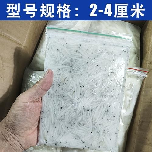 冰鲜小银鱼怎么做好吃_冰鲜小银鱼的做法大全-第3张图片-山城妙识 冰鲜小银鱼怎么做好吃_冰鲜小银鱼的做法大全-第3张图片-山城妙识