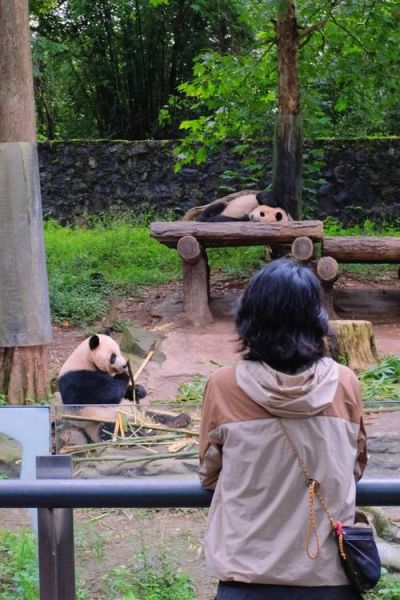 川内旅游景点推荐_哪些小众又好玩-第2张图片-山城妙识 川内旅游景点推荐_哪些小众又好玩-第2张图片-山城妙识