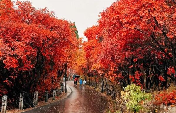吉林蛟河旅游景点有哪些_蛟河红叶谷几月去最好-第2张图片-山城妙识 吉林蛟河旅游景点有哪些_蛟河红叶谷几月去最好-第2张图片-山城妙识