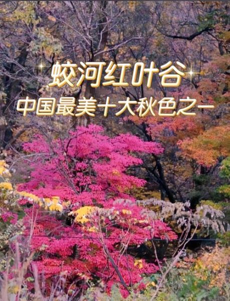 吉林蛟河旅游景点有哪些_蛟河红叶谷几月去最好-第1张图片-山城妙识 吉林蛟河旅游景点有哪些_蛟河红叶谷几月去最好-第1张图片-山城妙识