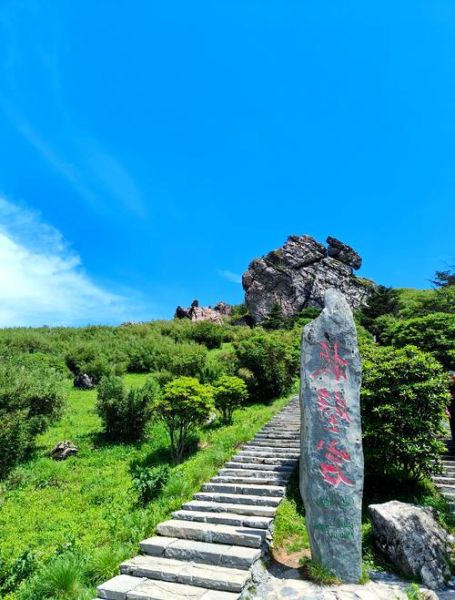 神农架景点有哪些_神农架必去景点推荐-第1张图片-山城妙识