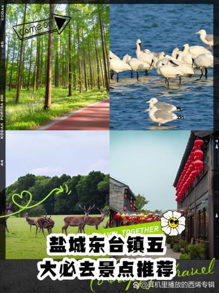 盐城旅游景点排名前十_盐城最值得去的地方有哪些-第1张图片-山城妙识 盐城旅游景点排名前十_盐城最值得去的地方有哪些-第1张图片-山城妙识