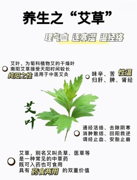 艾地理是什么_艾地理怎么用-第2张图片-山城妙识