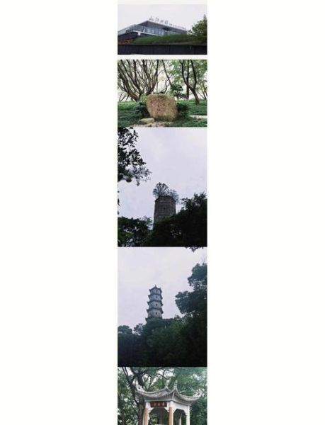 江心屿门票价格_江心屿一日游攻略-第1张图片-山城妙识