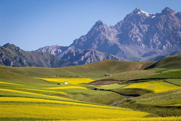 祁连县旅游景点有哪些_祁连山草原怎么去-第1张图片-山城妙识