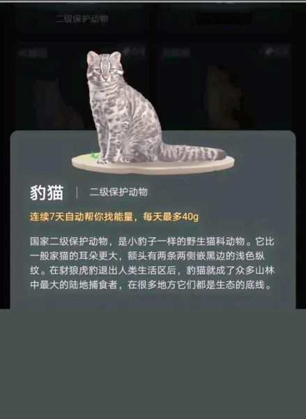 地理狸是什么动物_地理狸和狸猫区别-第1张图片-山城妙识