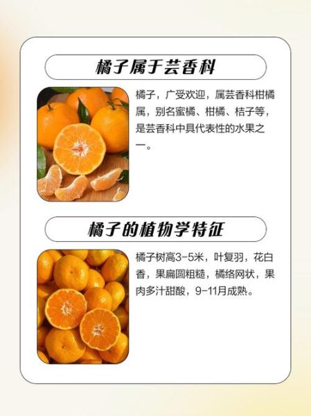 桔地理是什么_桔地理怎么用-第1张图片-山城妙识