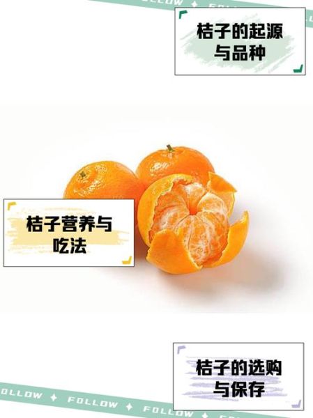桔地理是什么_桔地理怎么用-第3张图片-山城妙识