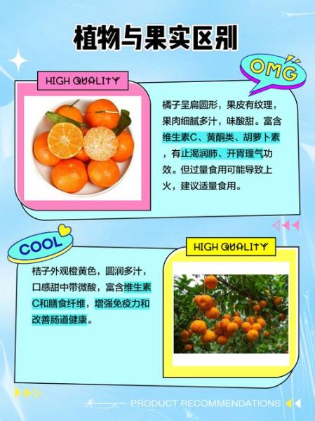 桔地理是什么_桔地理怎么用-第2张图片-山城妙识