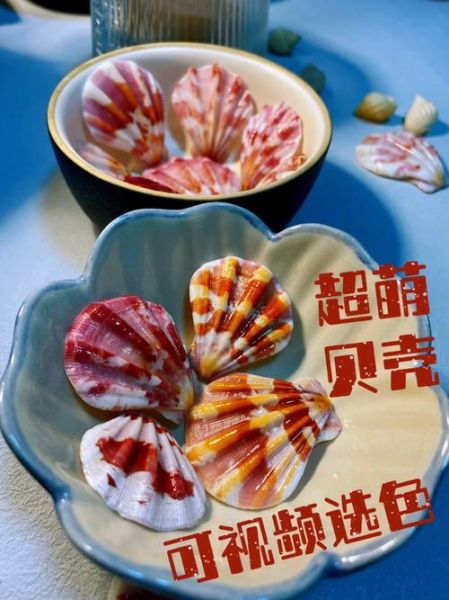 大贝壳怎么清洗_大贝壳的家常做法-第2张图片-山城妙识